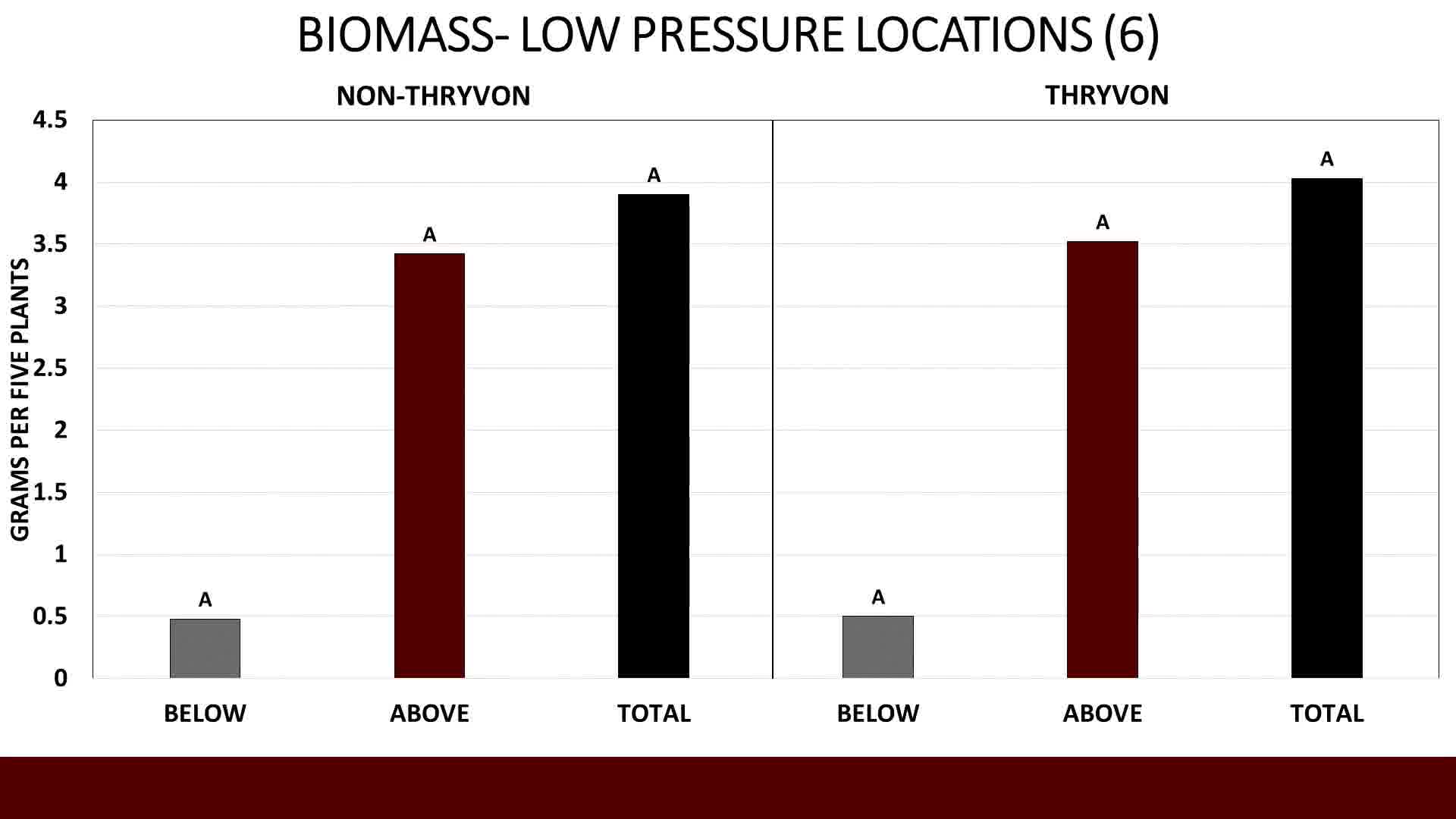 ThryvOn Cotton: Thrips Management